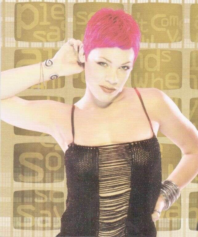 Can’t Take Me Home | On This Day in Pink History…