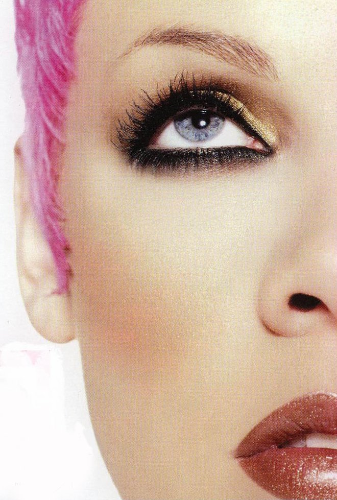 Can’t Take Me Home | On This Day in Pink History…
